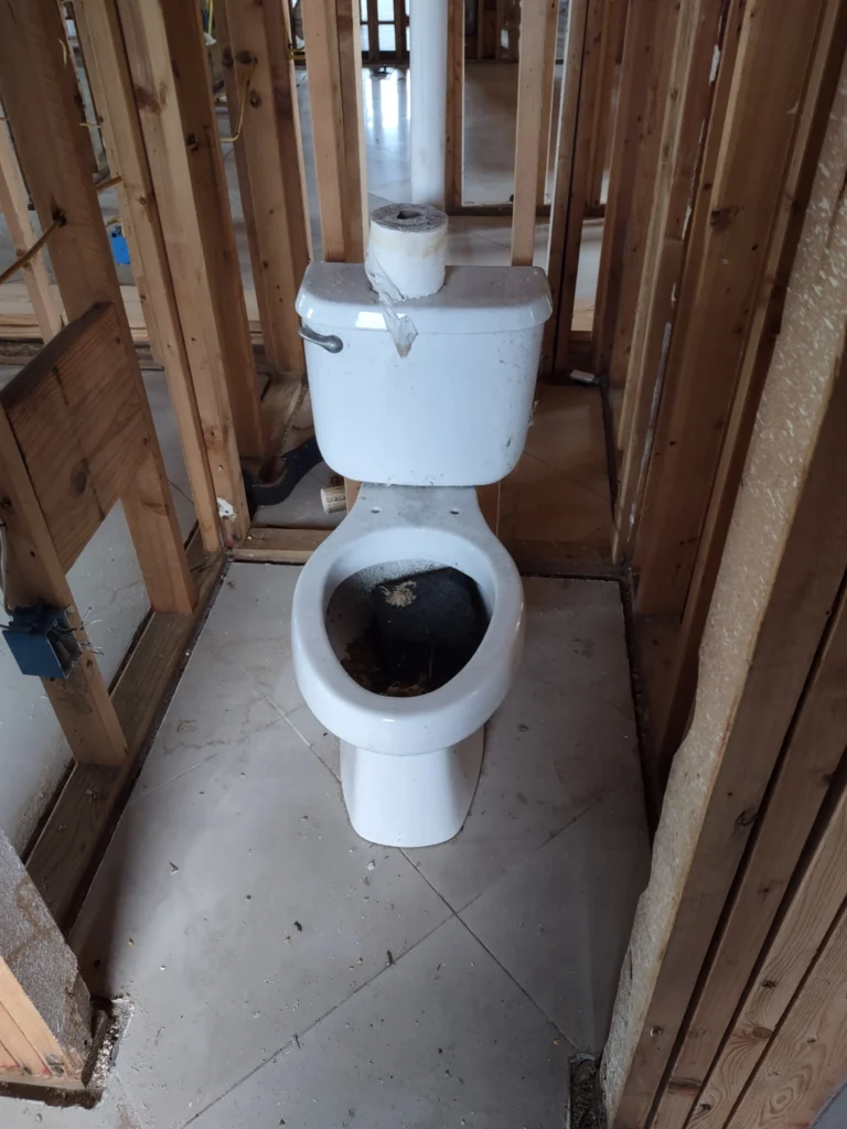 Clogged Toilet Repair in Houston, TX | AL Rooter Plumbing